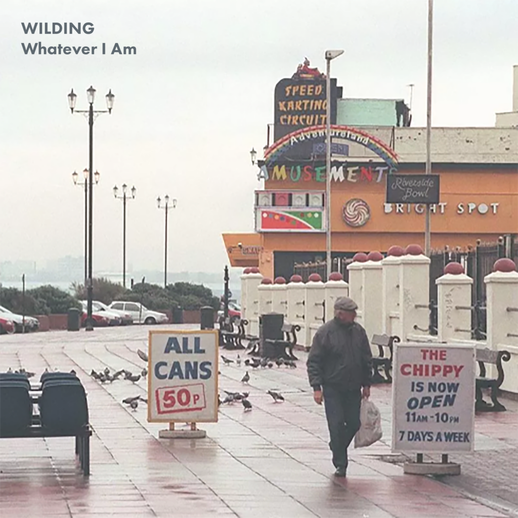 WILDING releases whimsical new album "WHATEVER I AM",